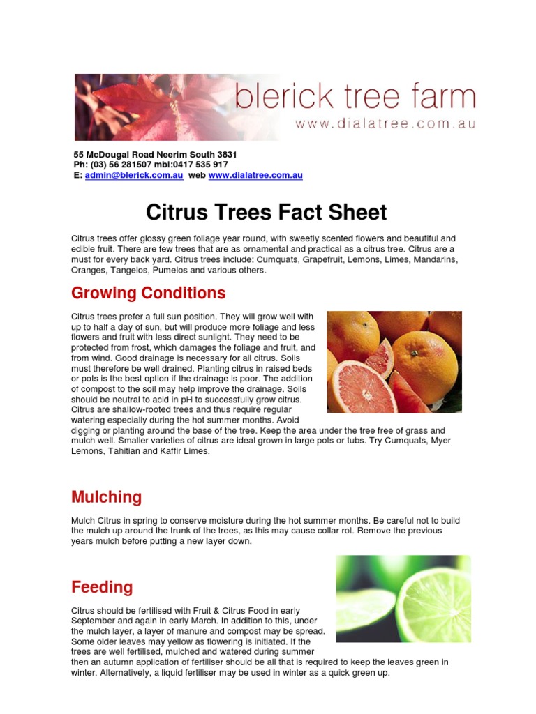 Citrus Trees Fact Sheet and Guide | Citrus | Orange (Fruit)