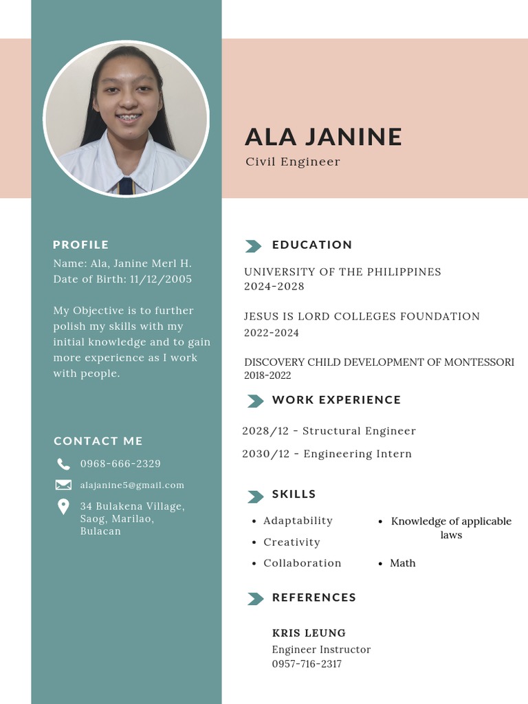 Janine Ala: Aspiring Civil Engineer Profile | PDF