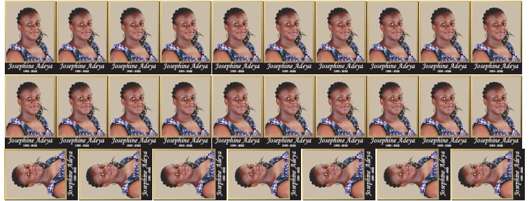 Josephine Adeya | PDF