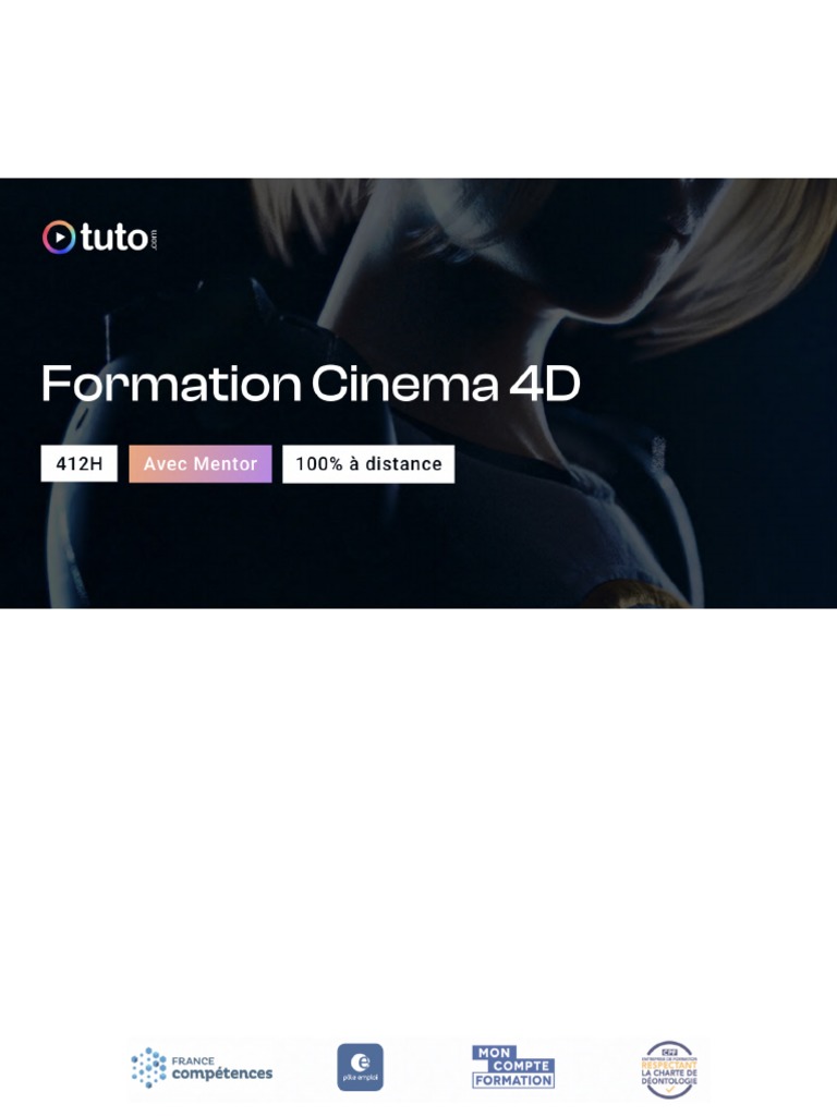 Formation Infographiste 3d Cinema 4d | PDF