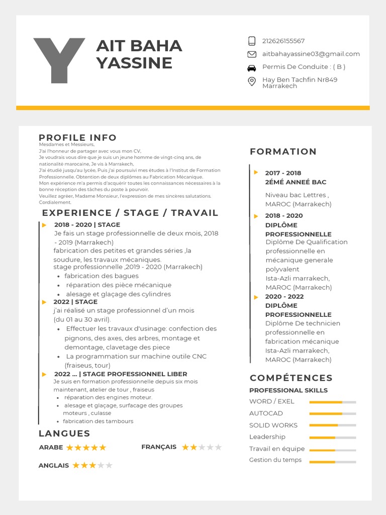 CV Ait Baha Yassine | PDF