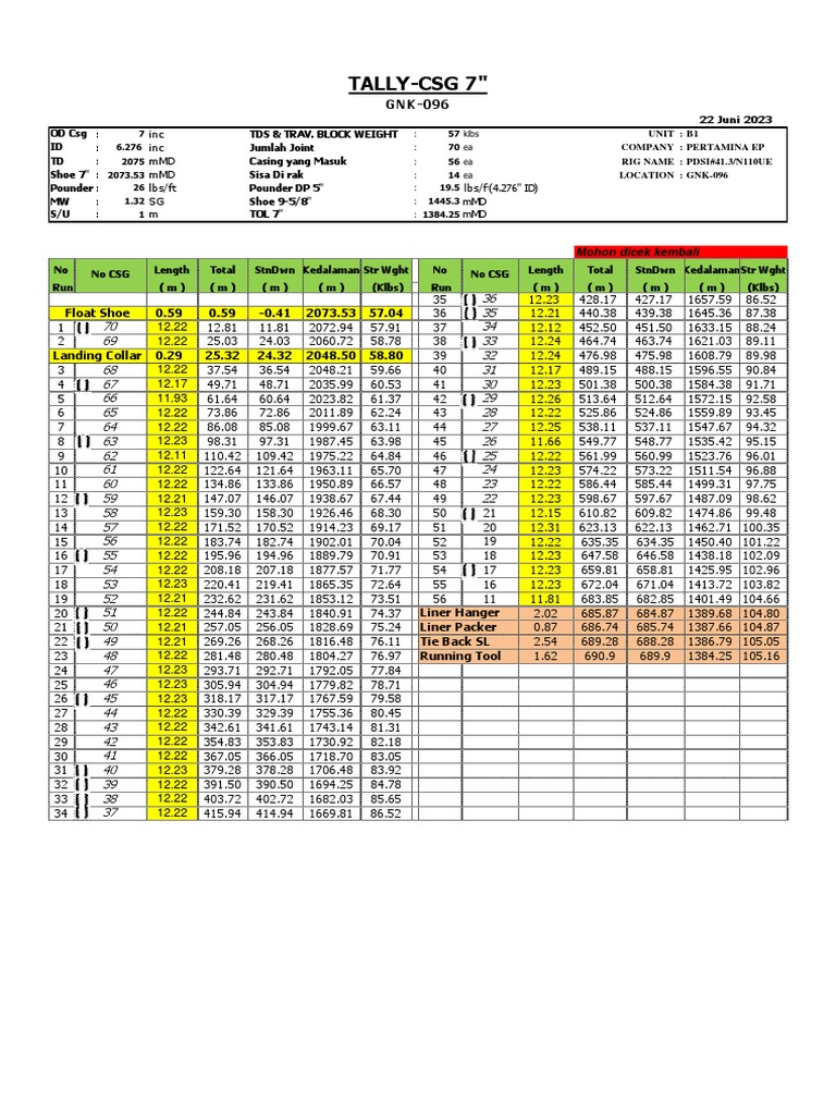 Casing Weight and Depth Data Report | PDF