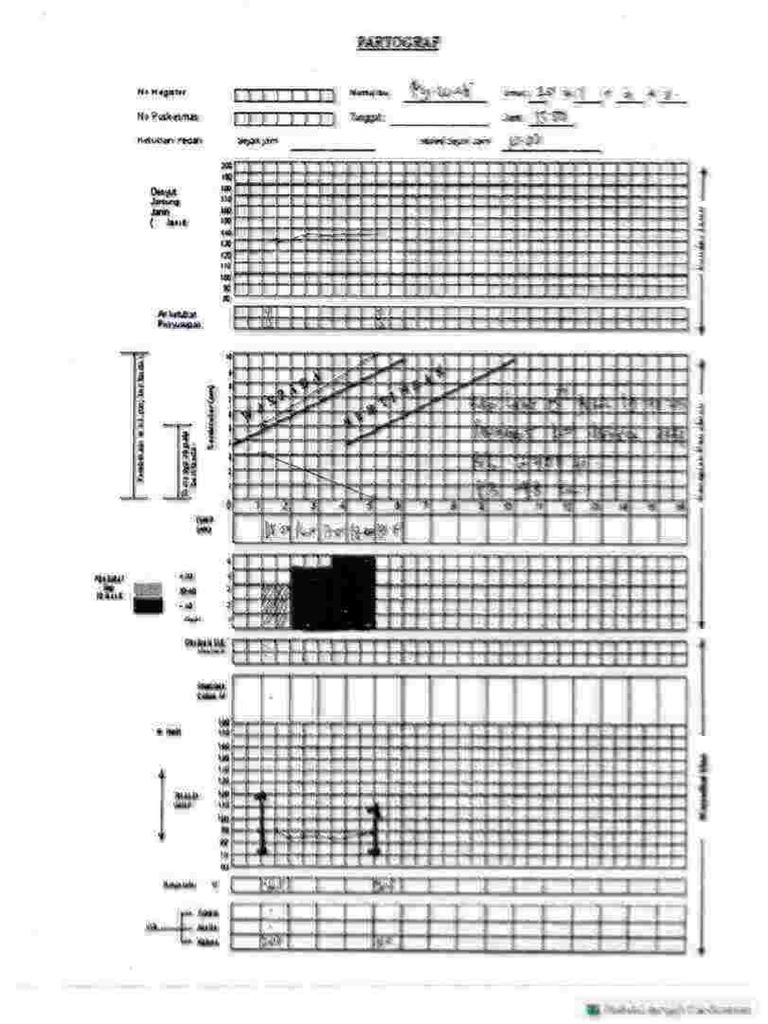 Partograf 2018-2019 | PDF