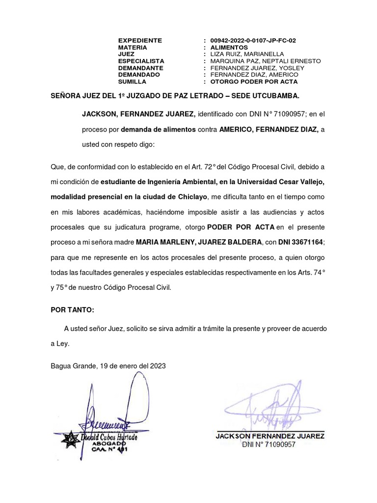 Poder Por Acta | PDF