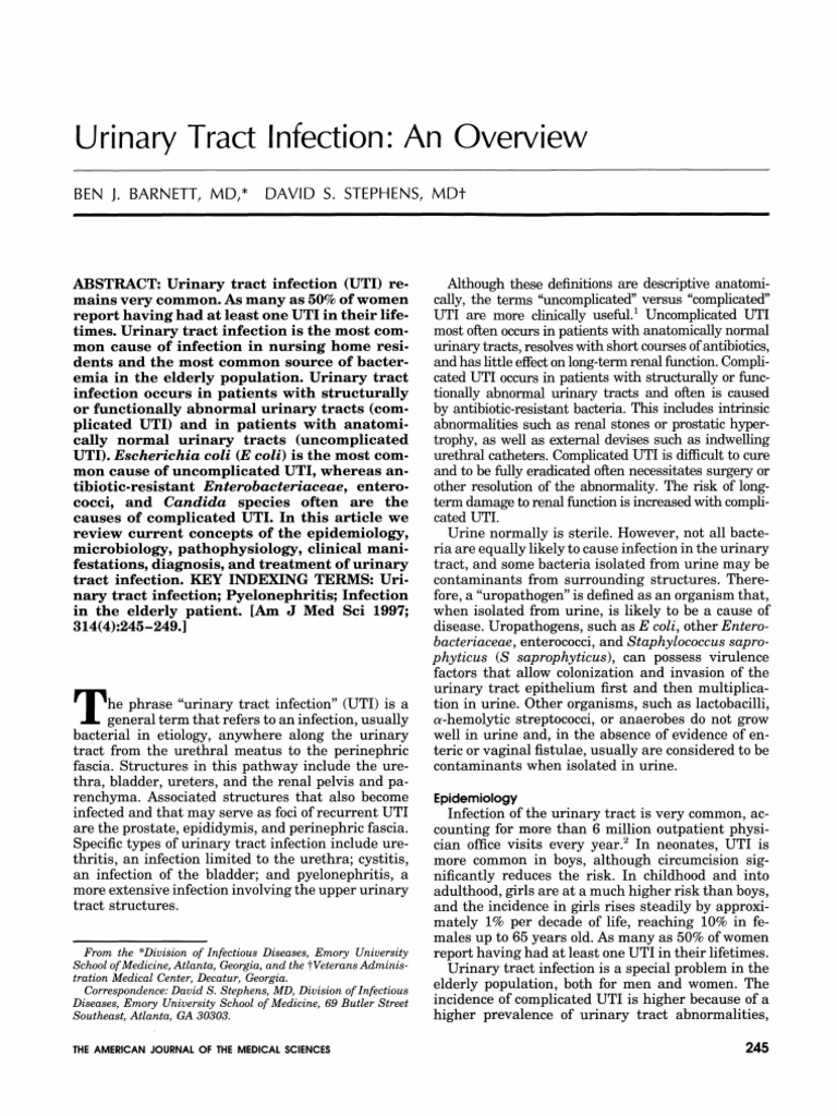 Urinary Tract Infection An Overview | PDF | Urinary Tract Infection ...