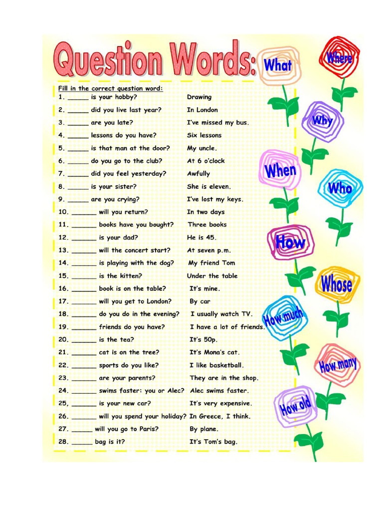 Question Words | PDF