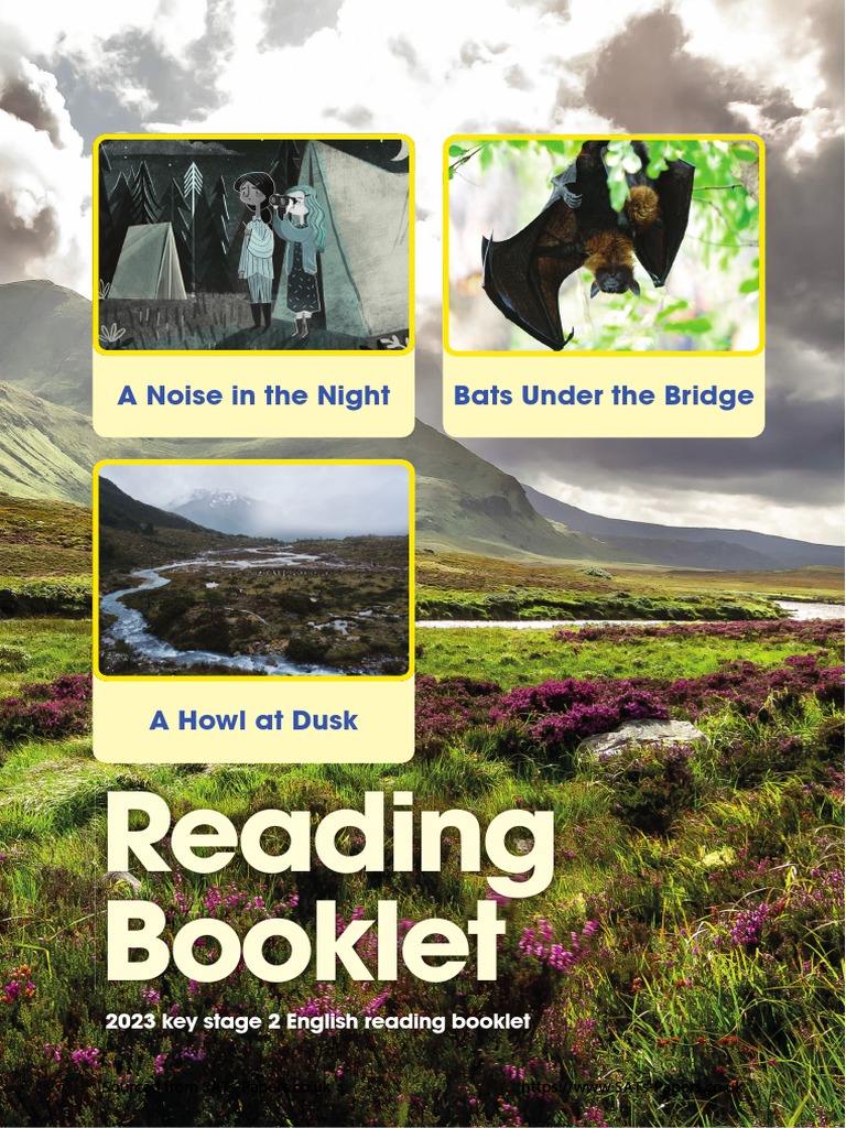 Key Stage 2 English Reading 2023 | PDF | Bat | Insects
