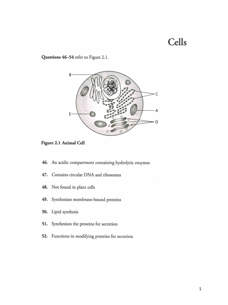 Lesson 1 Cell Practice Questions Set 1 Pdf