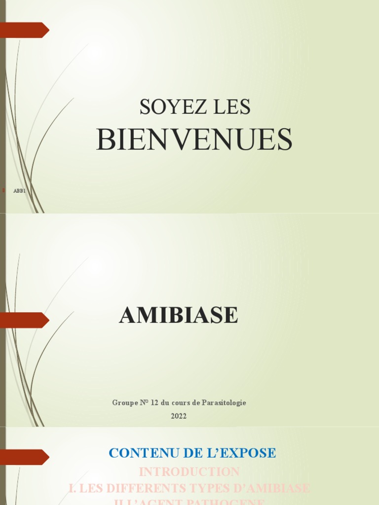 AMIBIASE OU AMOEBOSE | PDF | Maladies et troubles | Épidémiologie
