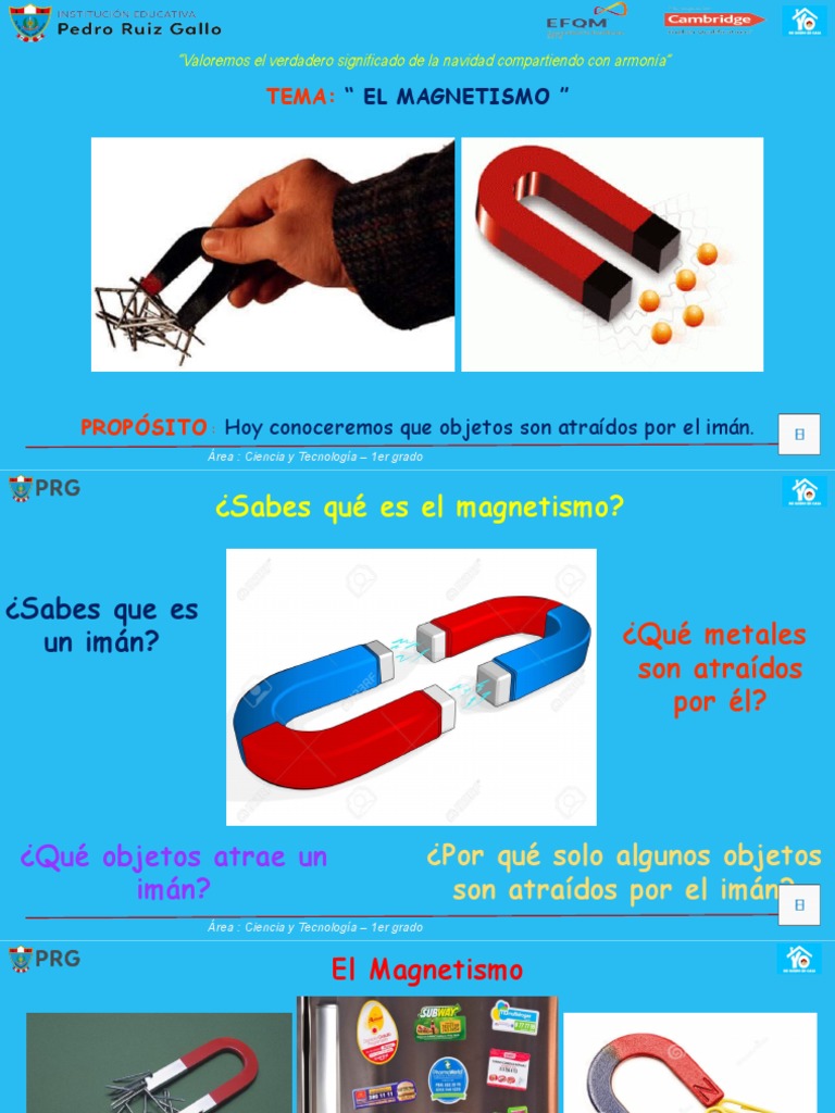 El Magnetismo | PDF