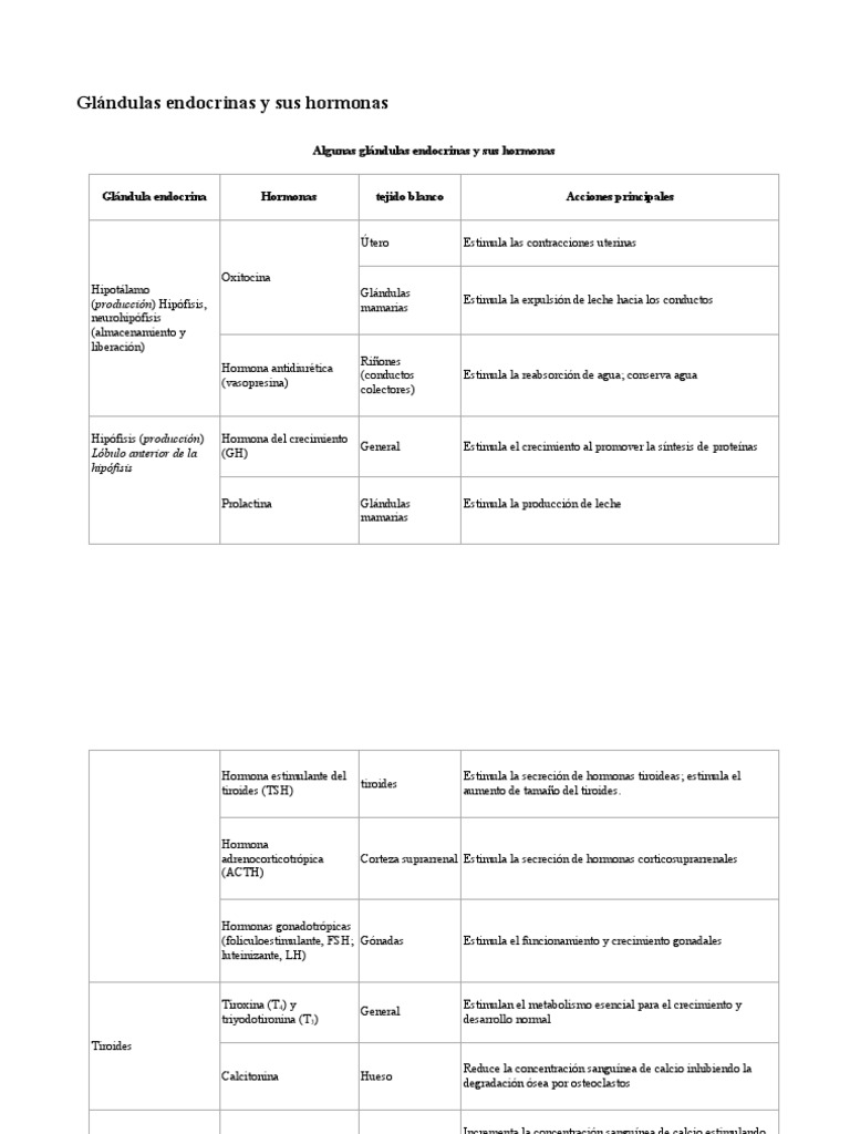 Glándulas Endocrinas y Sus Hormonas | PDF | Sistema endocrino | Hormona