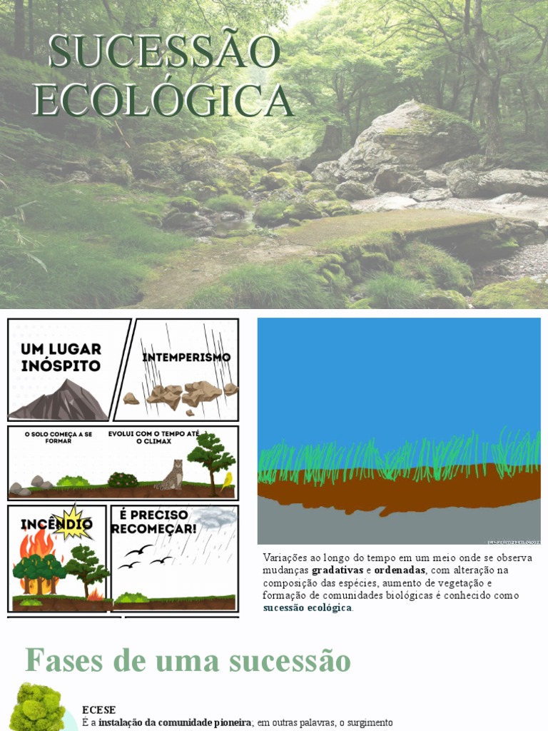 07 - SUCESSAO ECOLOGICA - SLIDE Aula 07 | PDF | Ecologia | Geociências