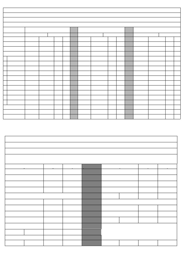Accounting Format | PDF