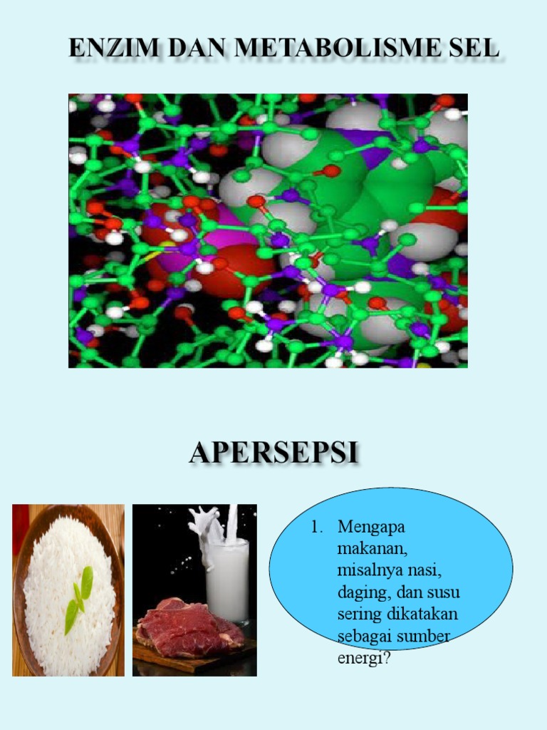 PPT 1. ENZIM DAN METABOLISME SEL | PDF