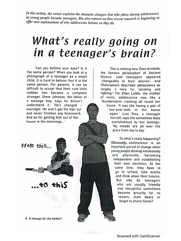 Y8 What's Really Going On in A Teenager's Brain | PDF