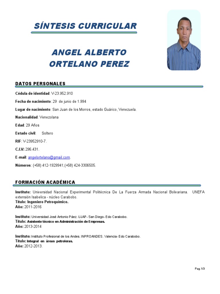 ANGEL ALBERTO ORTELANO PEREZ. Curriculum Vitae. 2023 | PDF