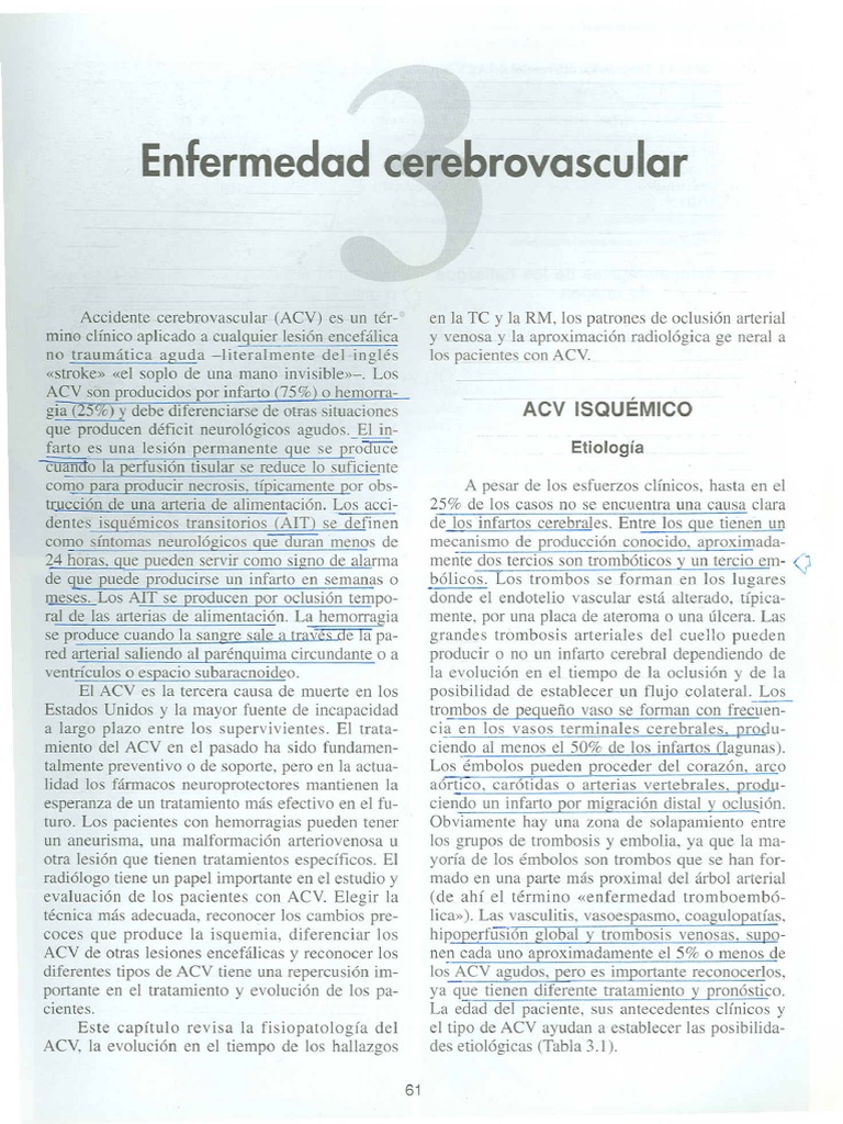 Cap 03 PDF | Descargar gratis PDF | Carrera | Anatomía humana