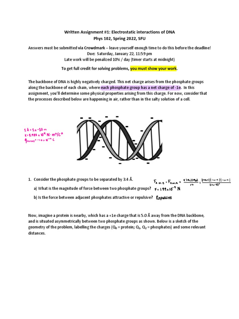Homework 1 | PDF | Force | Dna