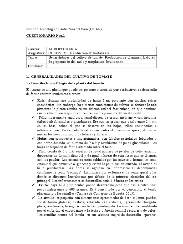 Cultivo de Tomate en ITS Santa Rosa | PDF | Compost | Fertilizante