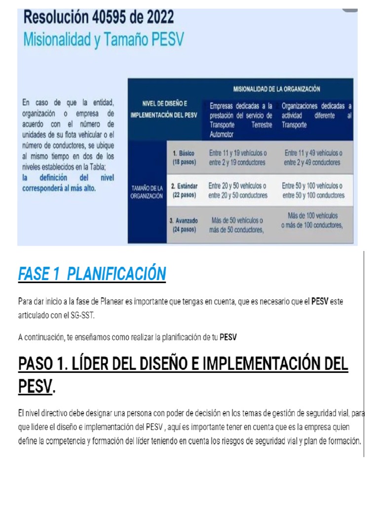 Pasos Pesv Nueva Resolucion 4095 2022 | PDF