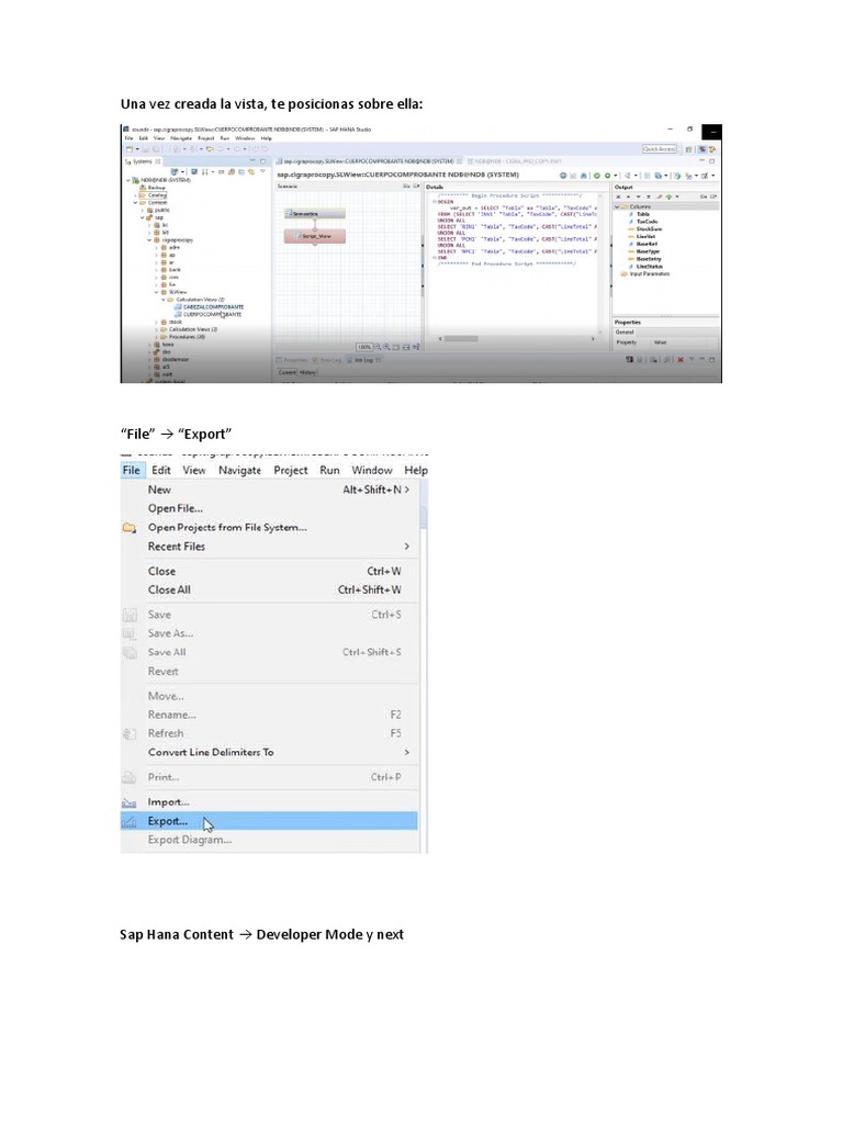 Paso A Paso Crear Vistas Calculadas | PDF