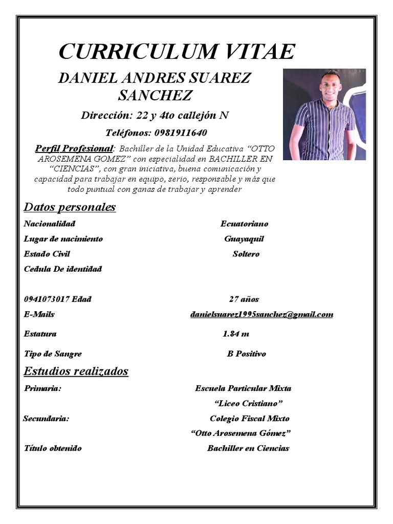 Curriculum Daniel Suarez | PDF