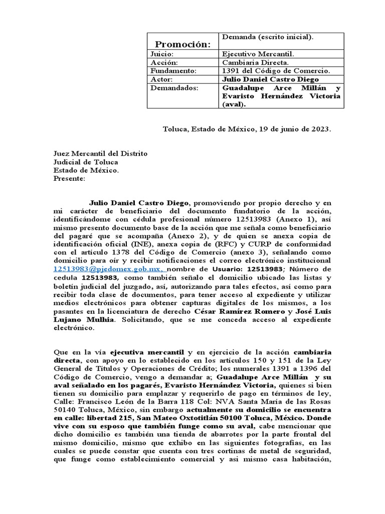 Demanda Guadalupe Millan | PDF | Derecho