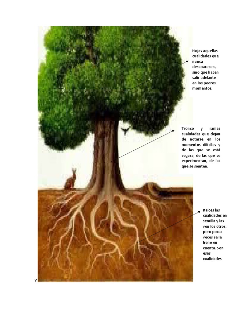 Tree Exercise - Español | PDF