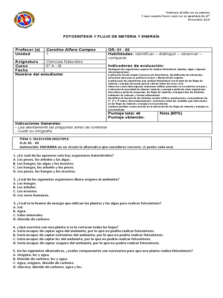 Fotosíntesis y Flujo de Materia y Energía | PDF