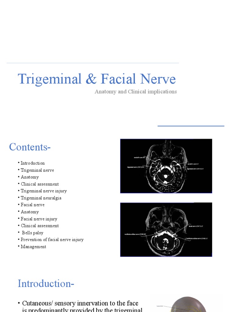 Trigeminal and Facial Nerve | PDF | Human Anatomy | Human Head And Neck