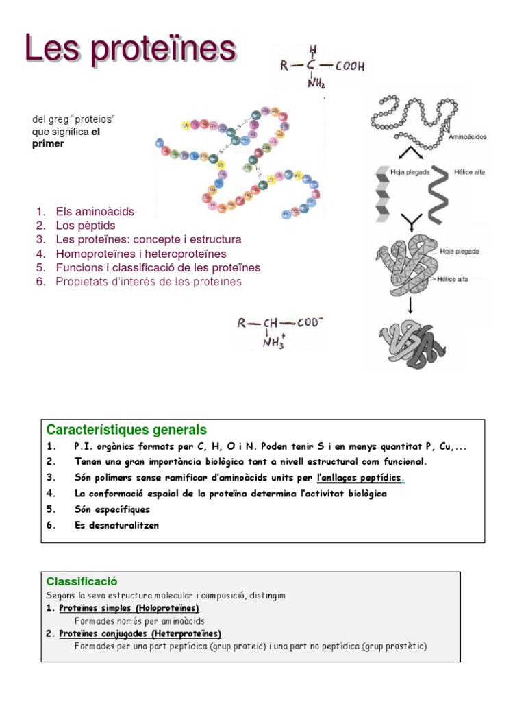 Proteines | PDF