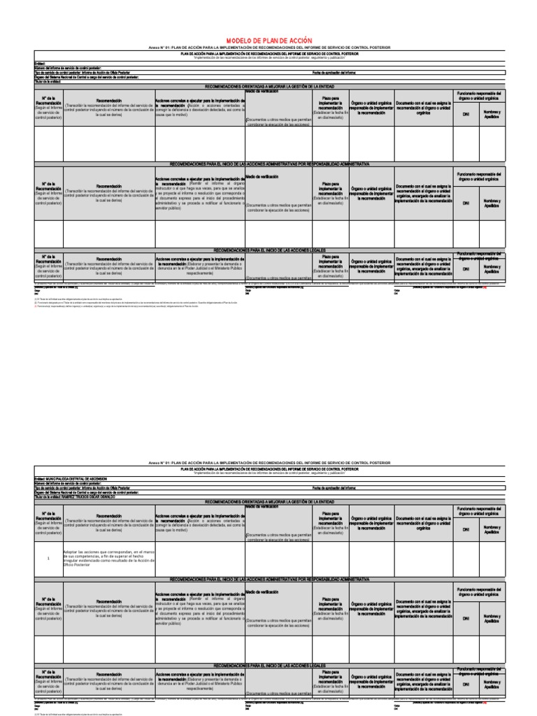 Plan de Accion | PDF