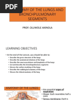 Lung Surface Anatomy Overview | PDF