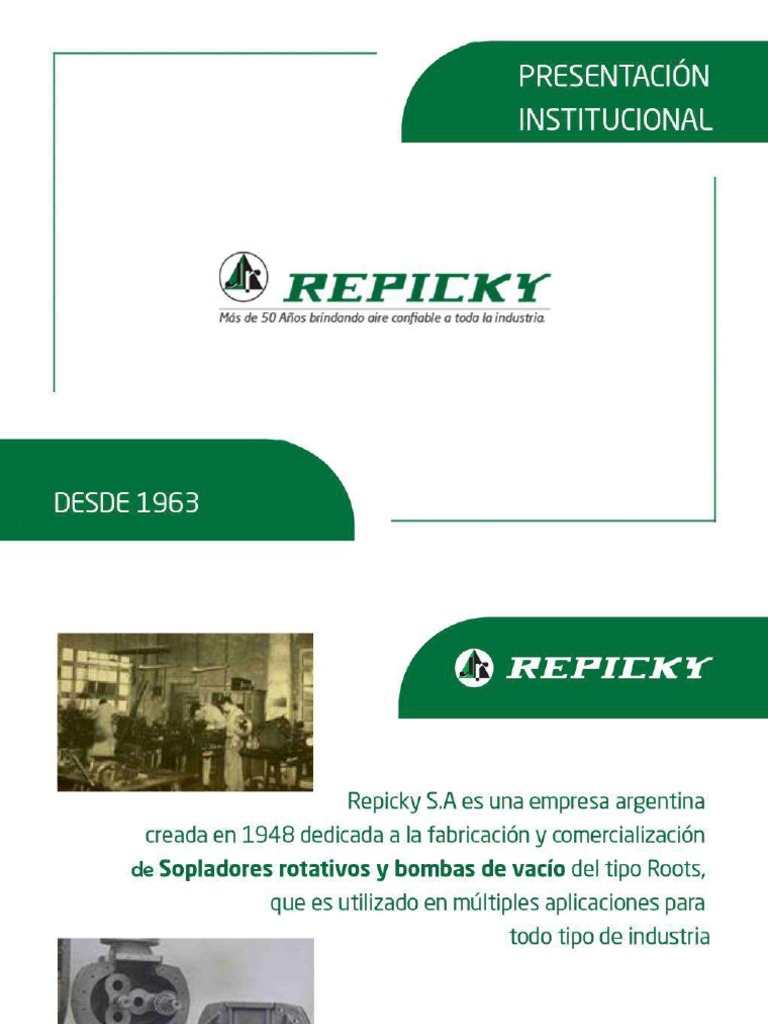 Repicky Presentación 2023 | PDF
