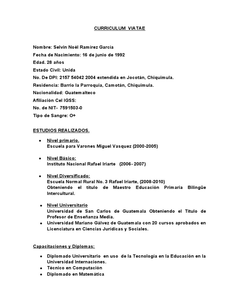 Curriculum Vitae Selvin | PDF