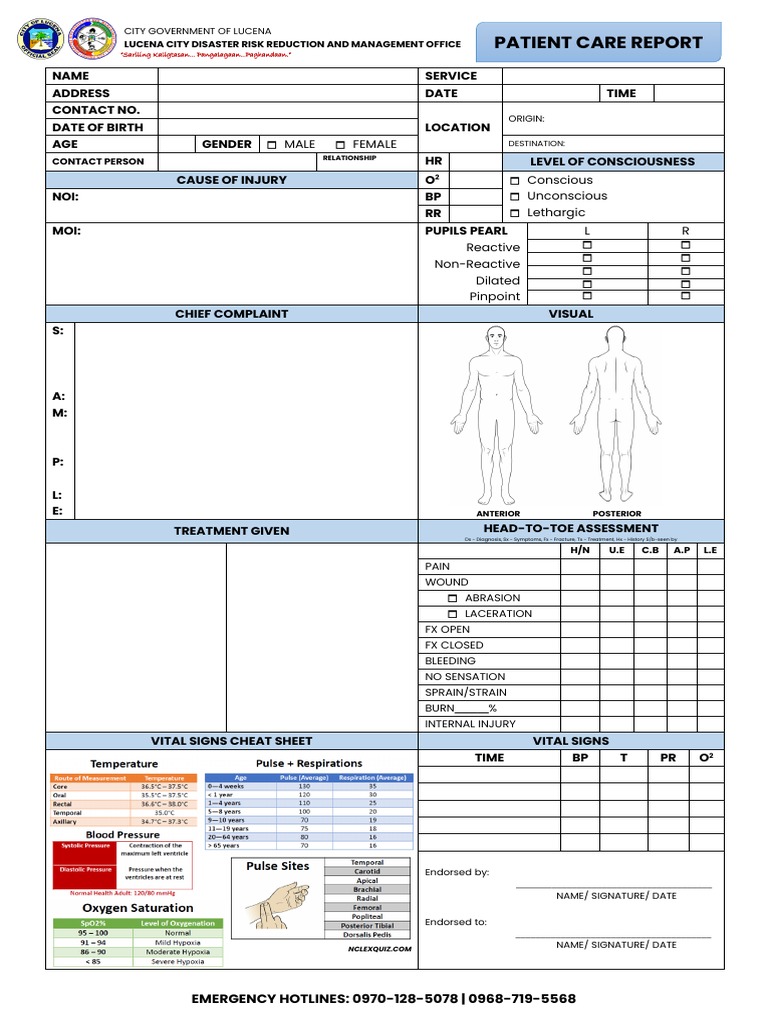 Lucena City Patient Care Report Template | PDF