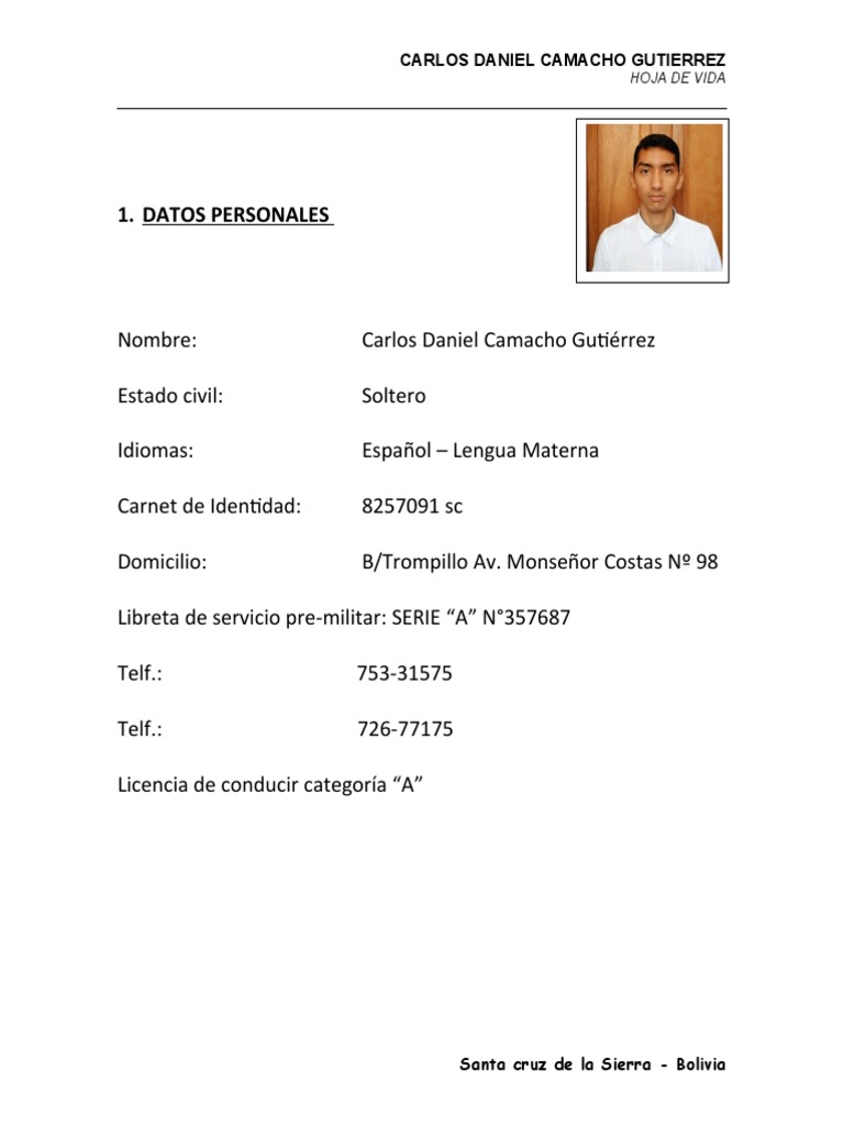 Curriculum Daniel Camacho Gutierrez | PDF