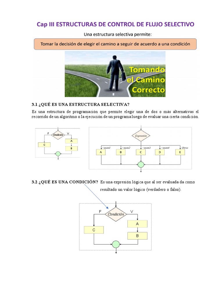 Cap 3 Estructuras Selectivas | PDF | C ++ | Verdad