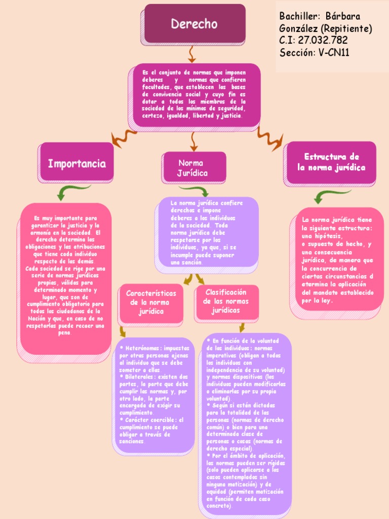 Mapa Conceptual Marco Legal | PDF
