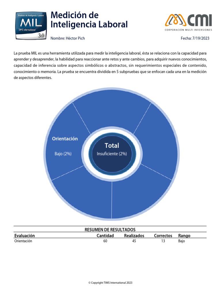MIL Héctor Pich | PDF