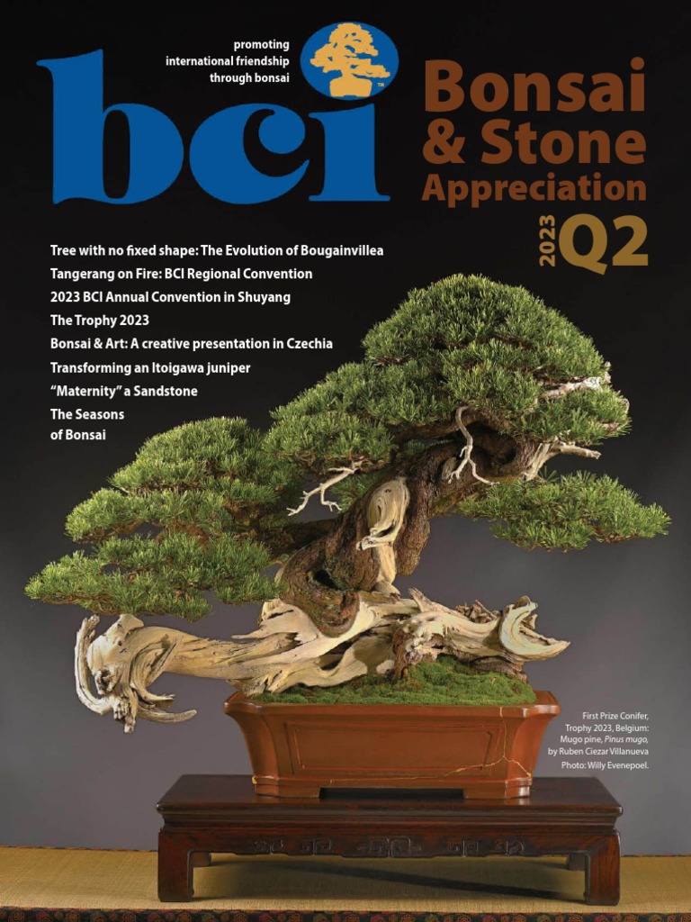 BCI Bonsai & Stone Appreciation Magazine - May 2023 | PDF