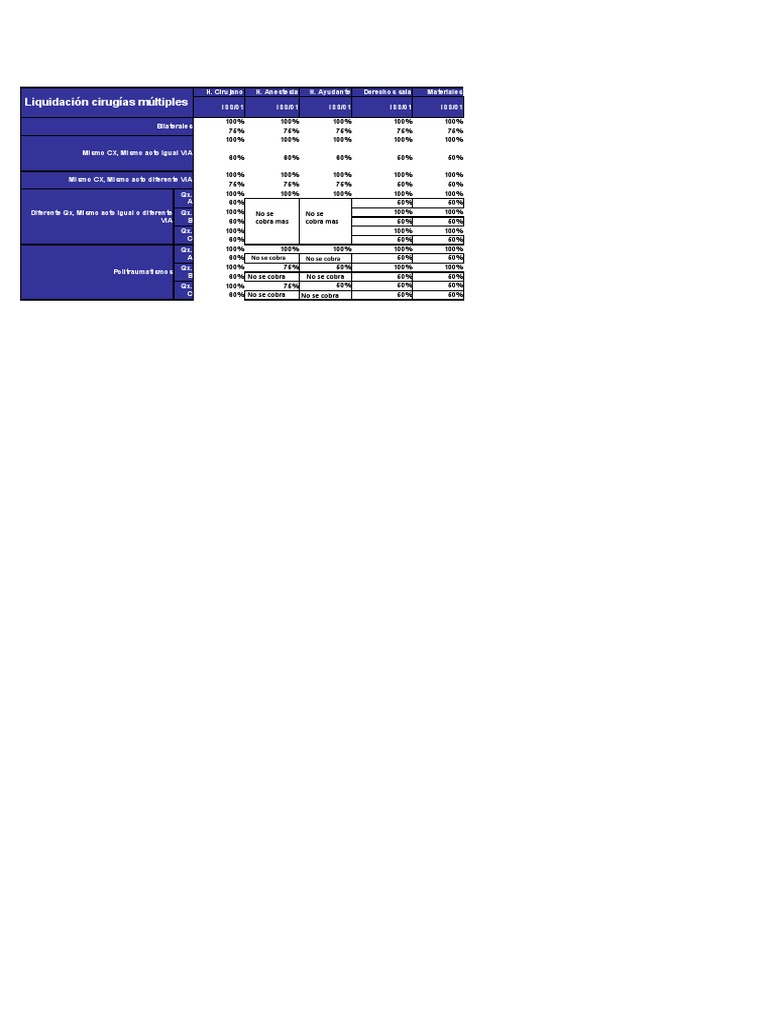 Matriz Tabla Liquidacion Multiple ISS MARIA ALEJANDRA | PDF