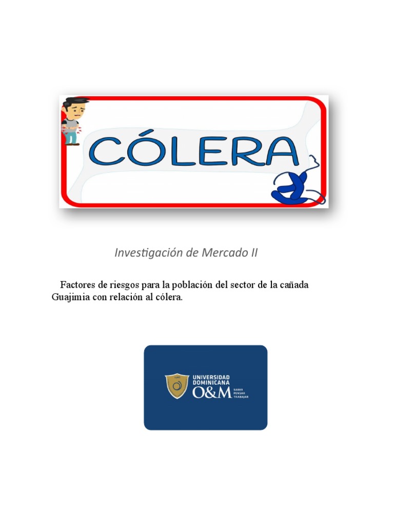 Practica Final Inv. de Mercado II Word | PDF | Cólera | Diarrea Practica Final Inv. de Mercado II Word | PDF | Cólera | Diarrea