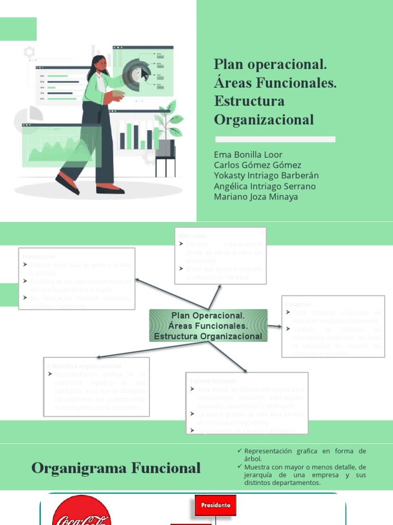 Áreas Funcionales | PDF