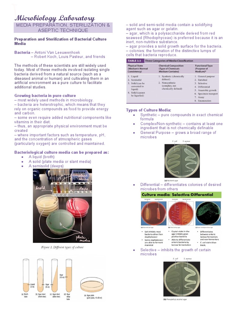 Microbio Notes | PDF | Growth Medium | Staining