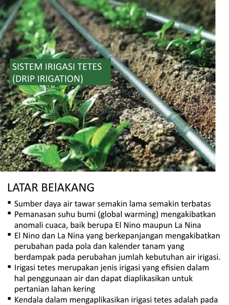Drip Irrigation | PDF
