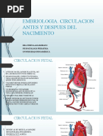 Limbo | PDF | Hoja | Botánica