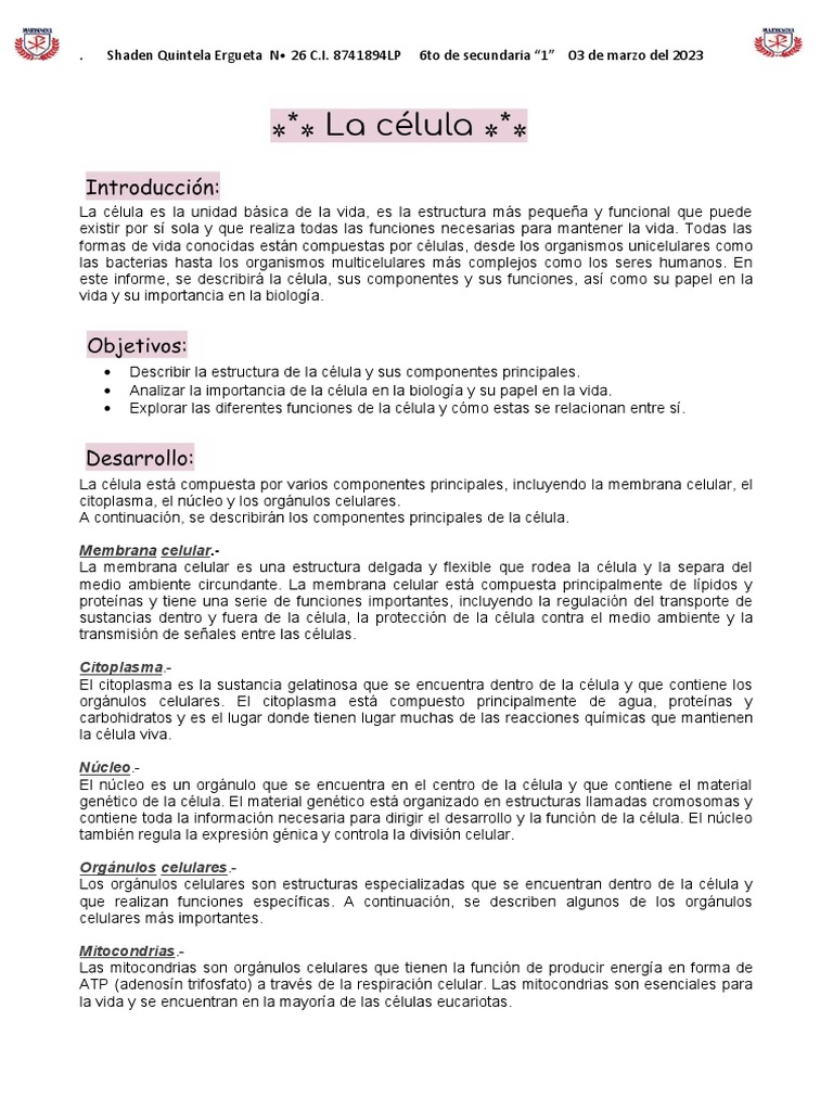 Ensayo Celula | PDF | Biología Celular) | Citoplasma