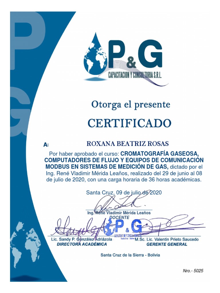 5 - Roxana Beatriz Rosas | PDF