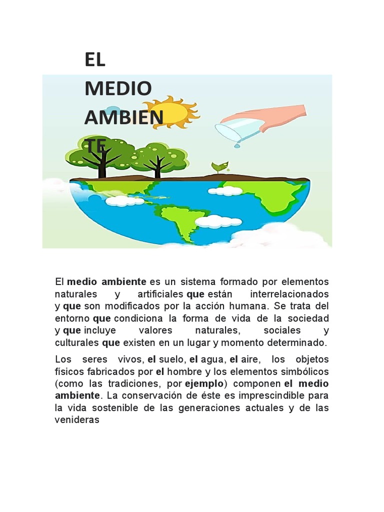 El Medio Ambiente | PDF